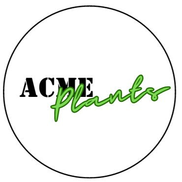 Products – Acme Plants